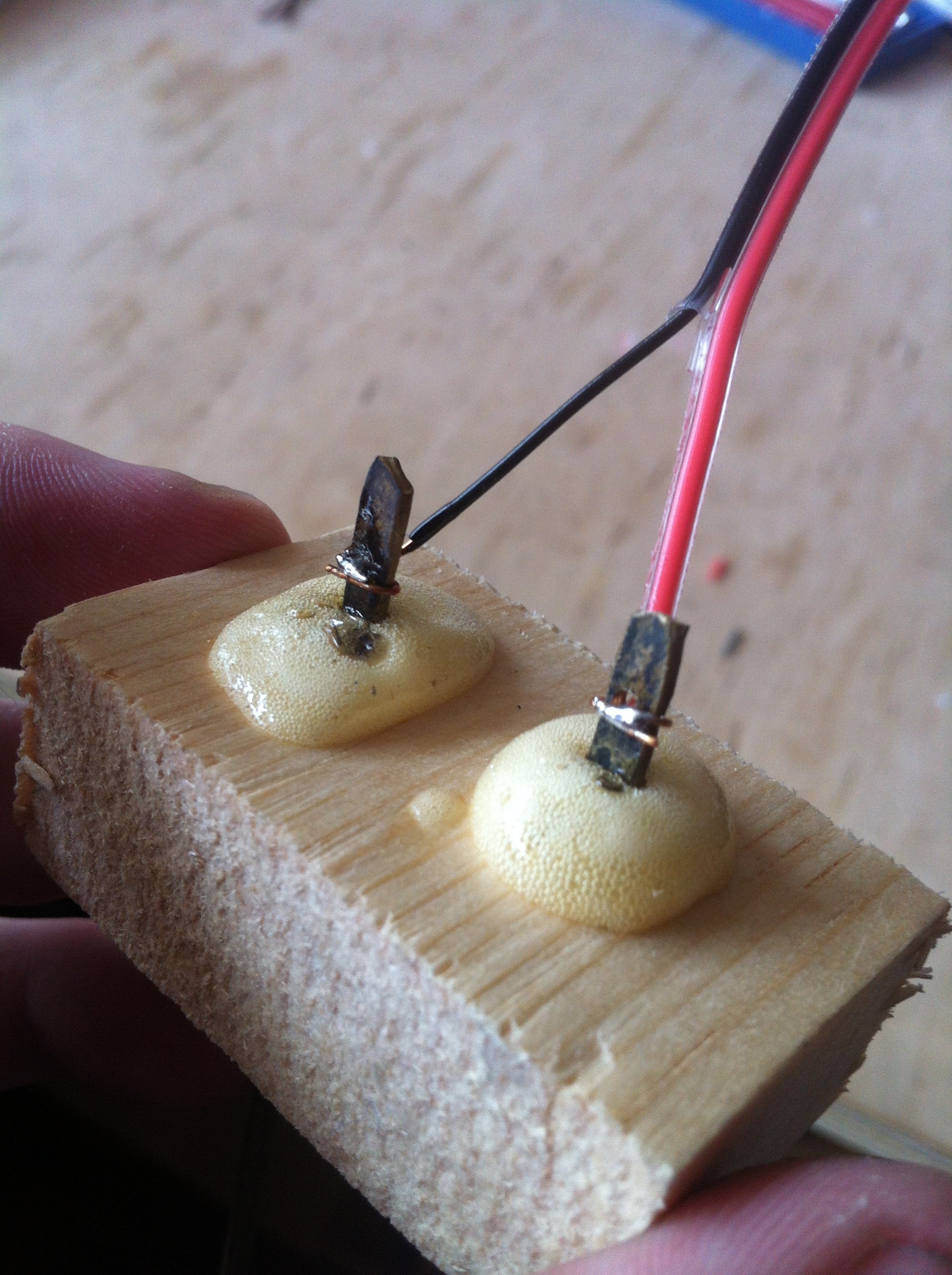 Homemade Plant Moisture Sensor