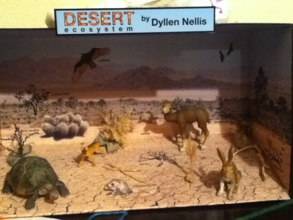 Desert Habitat Diorama Project