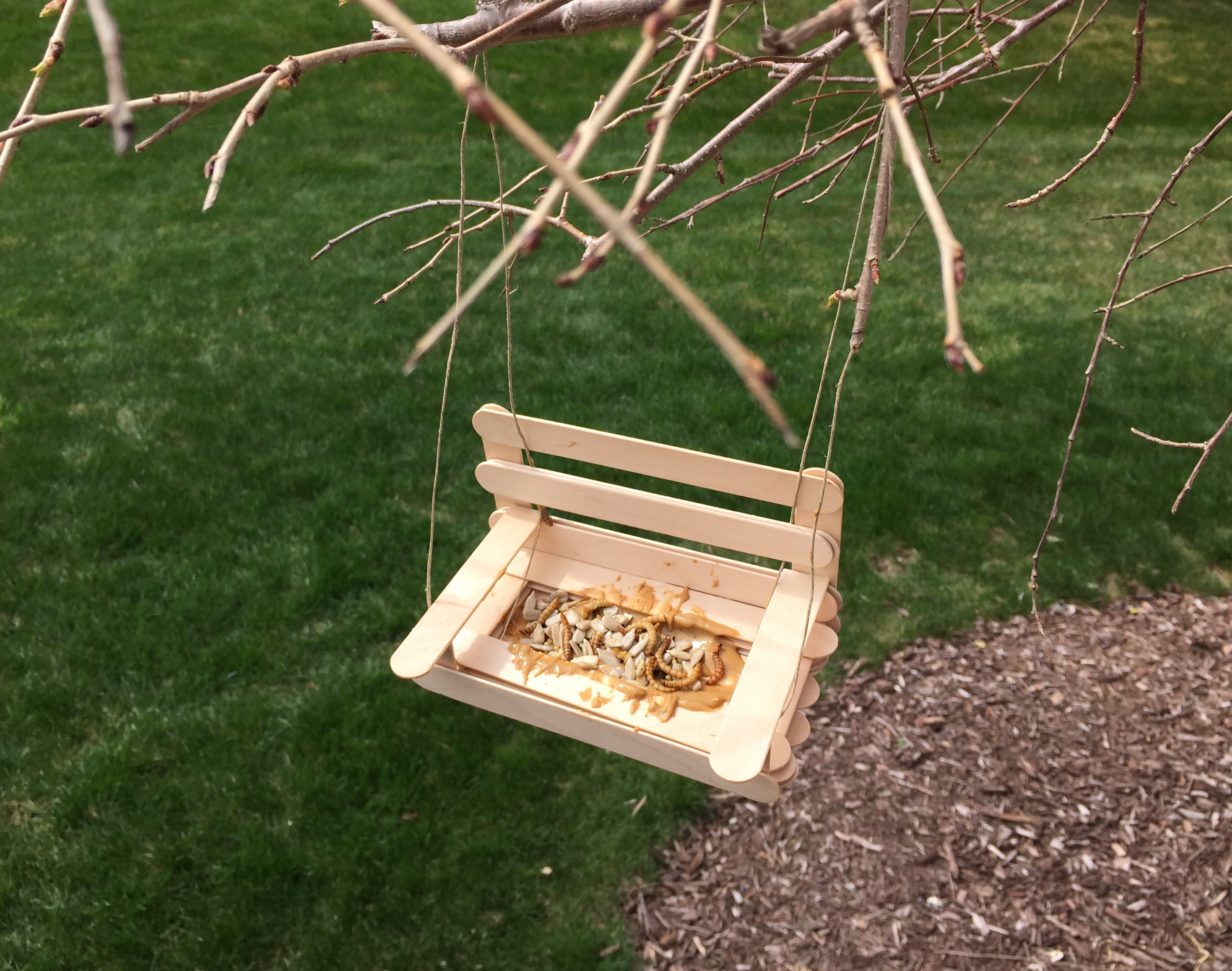 Popsicle Stick Bird Feeder DIY popsicle-stick-bird-feeder-diy