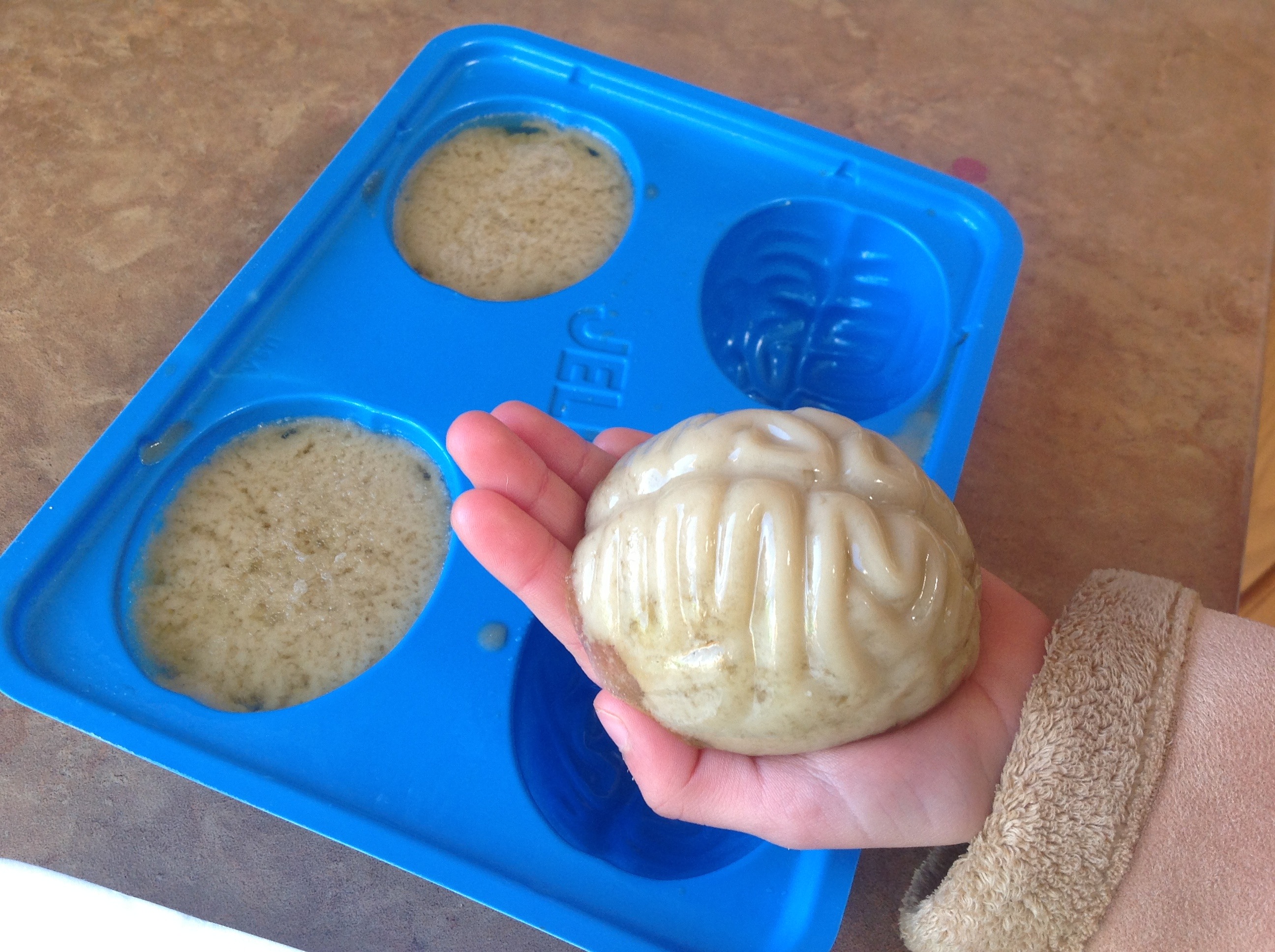 Fake Brains DIY
